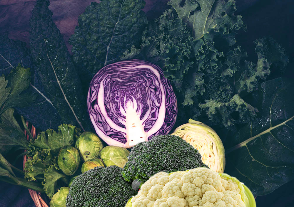 Kohlgemüse (Brassica oleracea) |Selbstheilung Online